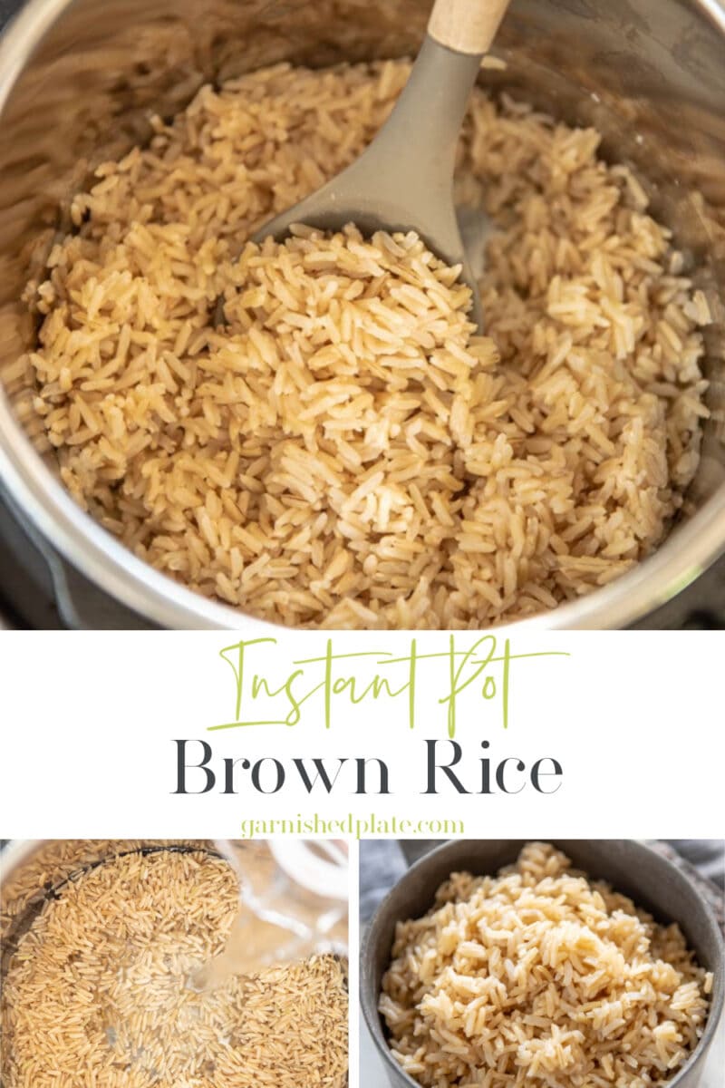 Instant Pot Brown Rice - Garnished Plate