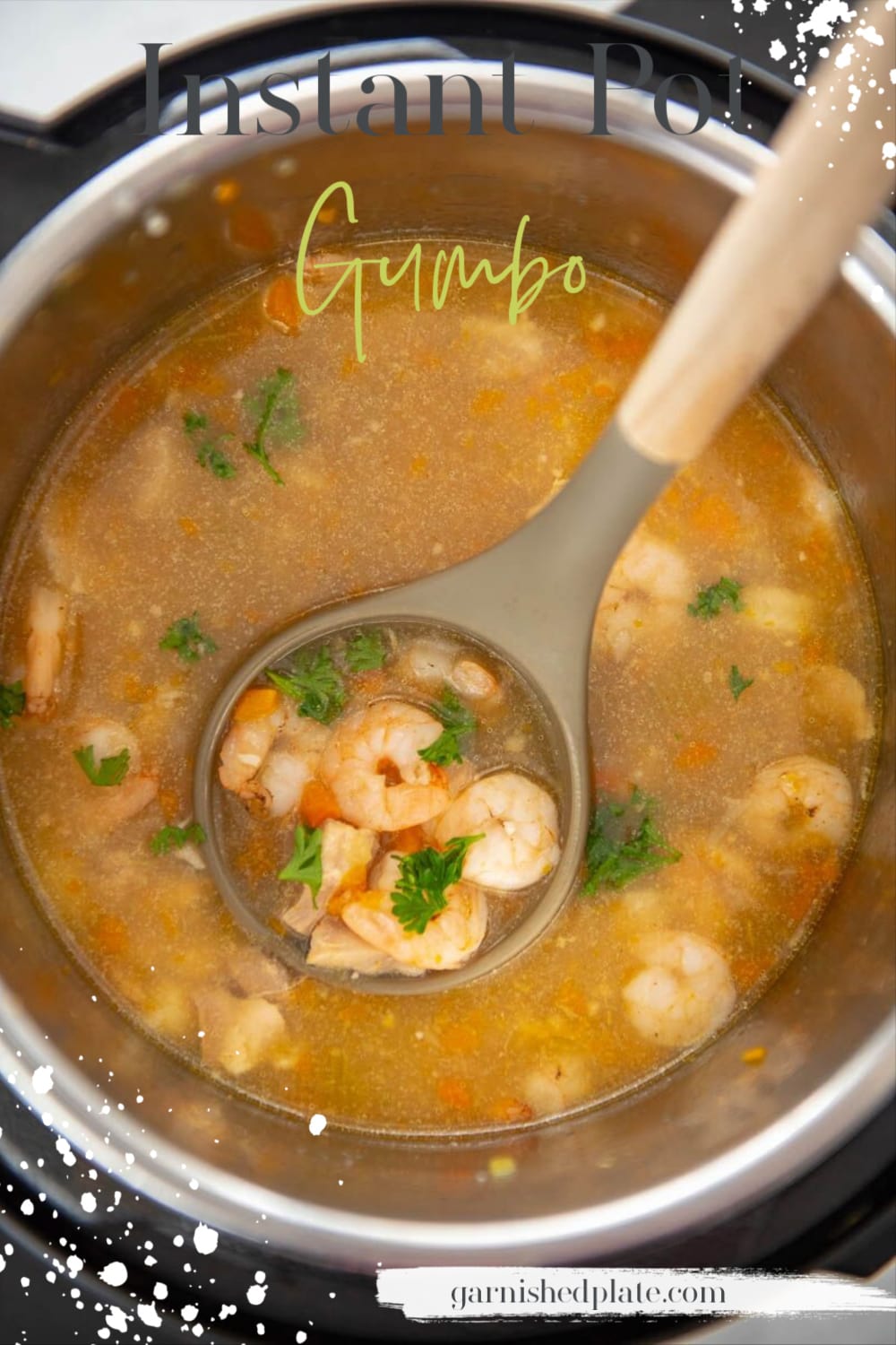 Instant Pot Gumbo - Garnished Plate