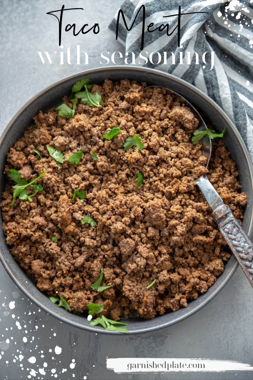Taco Meat with Seasoning - Garnished Plate
