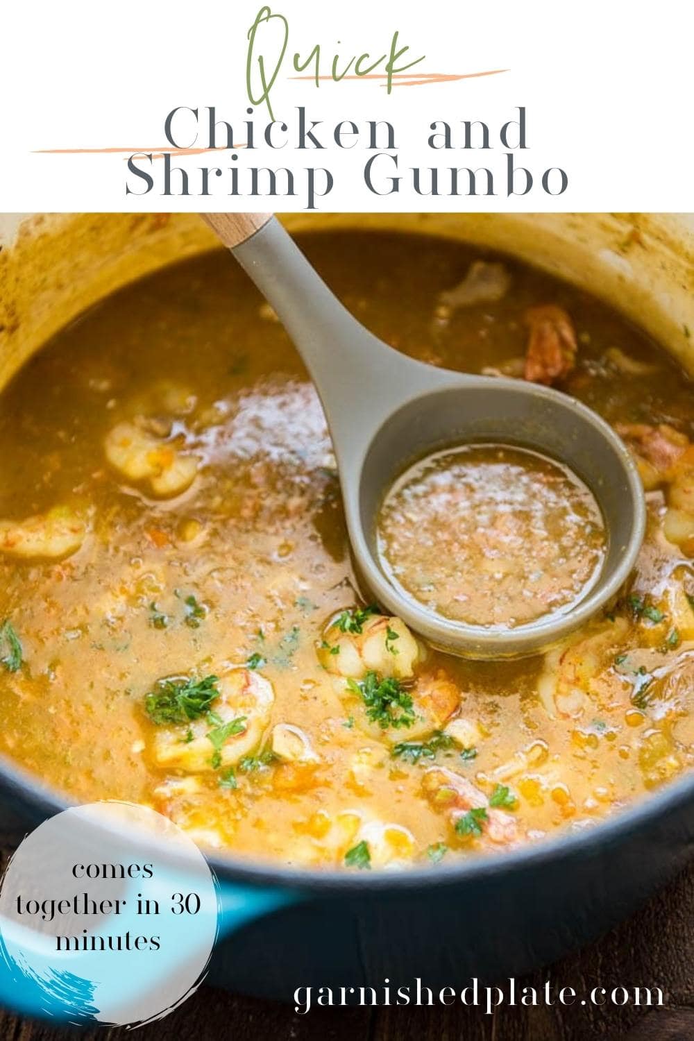 Quick Chicken and Shrimp Gumbo - Garnished Plate