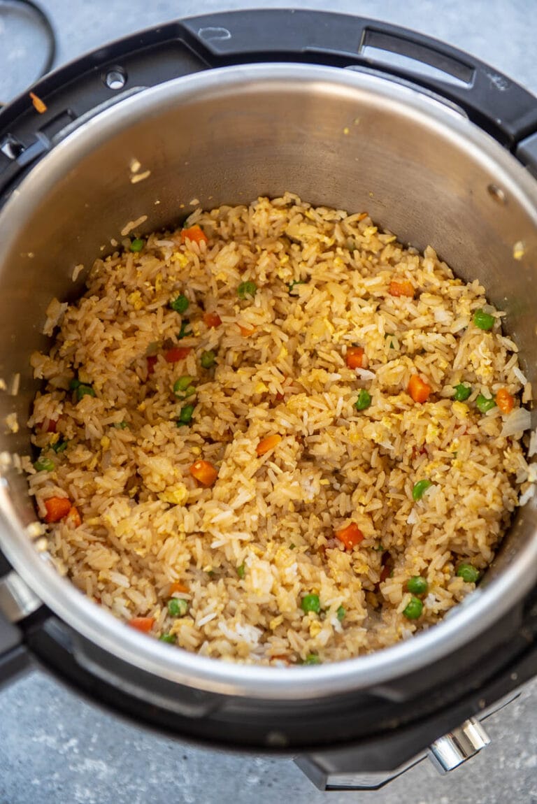 Instant Pot Fried Rice - Garnished Plate