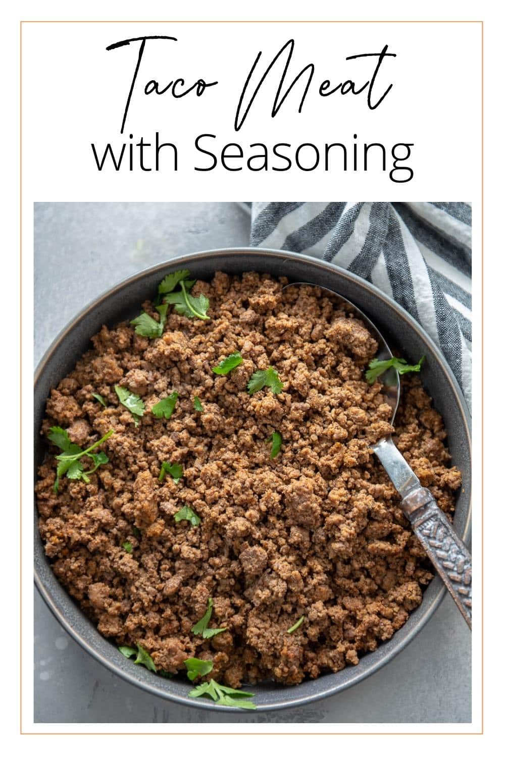 Taco Meat with Seasoning - Garnished Plate
