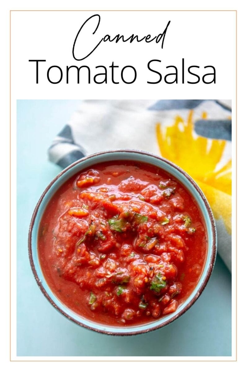 Canned Tomato Salsa - Garnished Plate