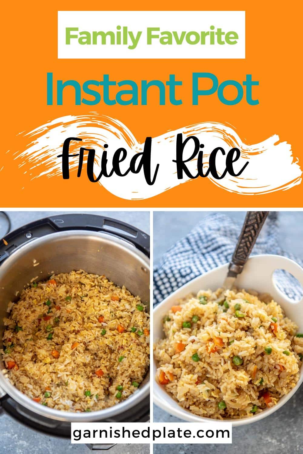 Instant Pot Fried Rice - Garnished Plate