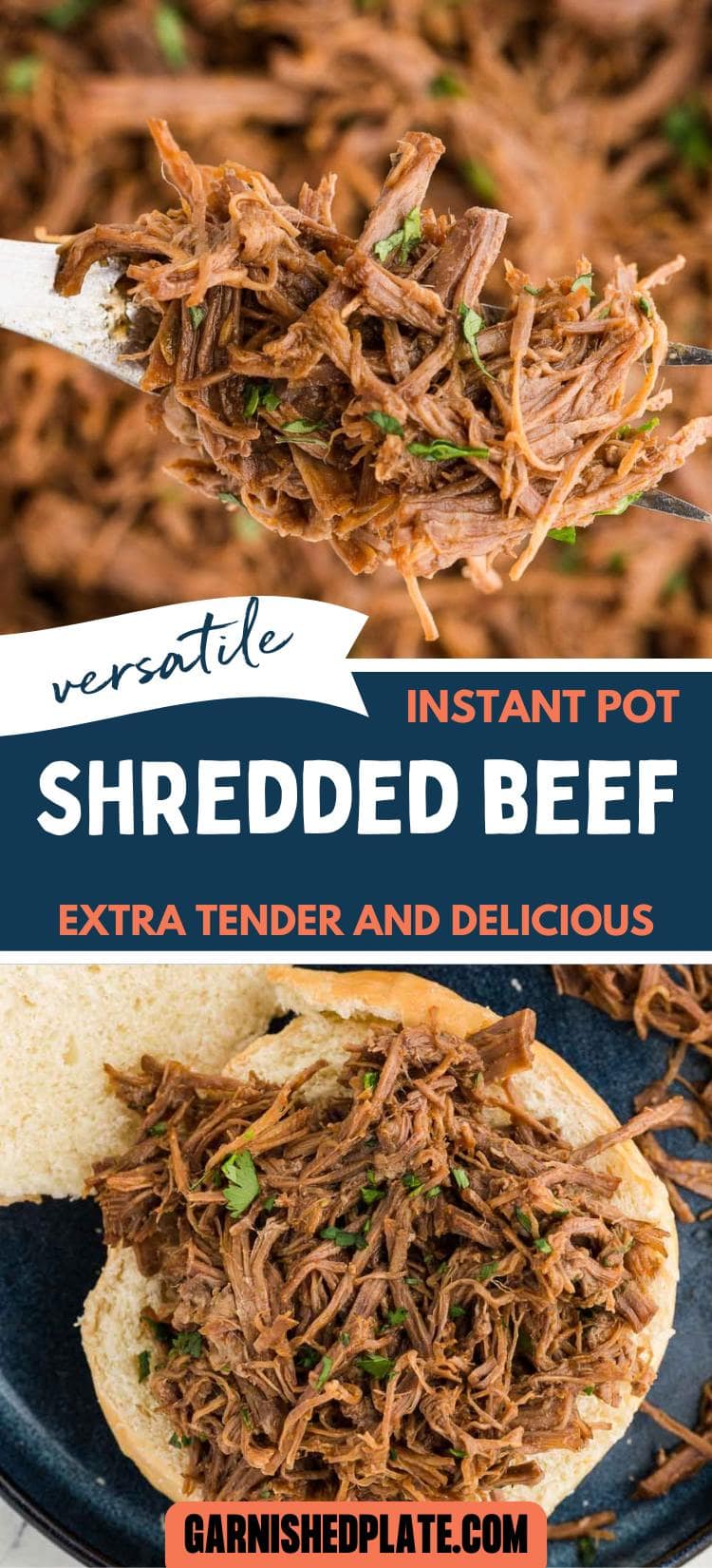 Instant Pot Shredded Beef - Garnished Plate