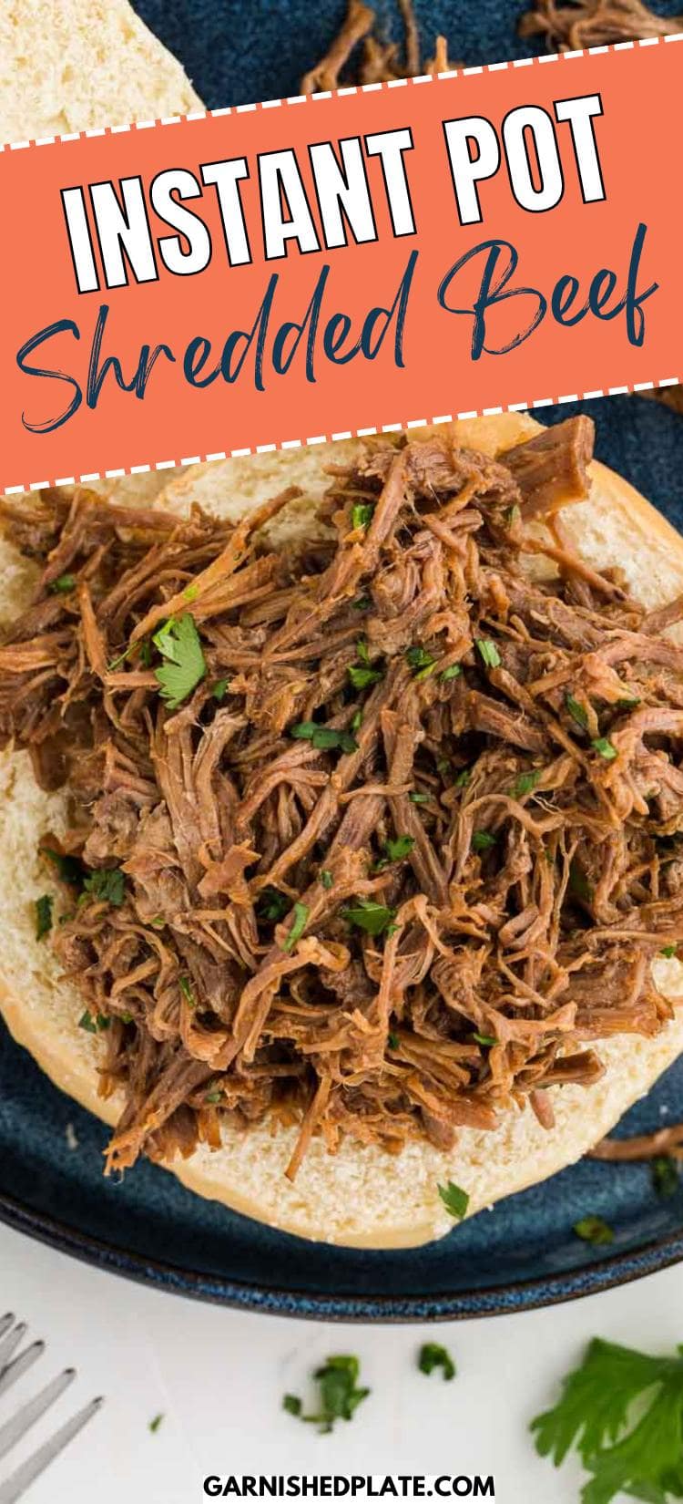 Instant Pot Shredded Beef - Garnished Plate