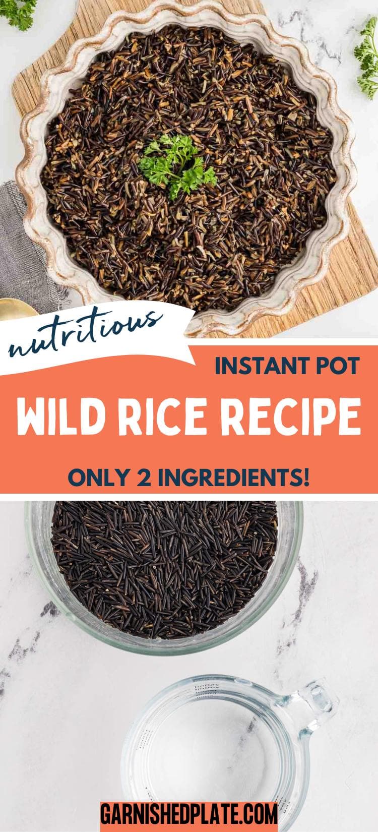 Instant Pot Wild Rice Recipe - Garnished Plate
