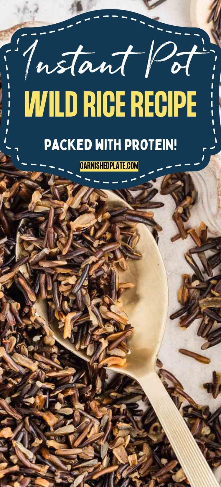 Instant Pot Wild Rice Recipe - Garnished Plate