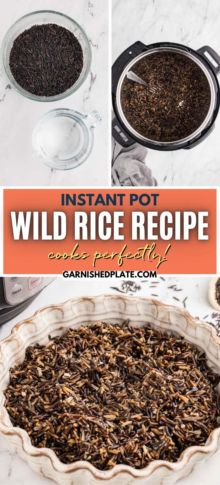Instant Pot Wild Rice Recipe - Garnished Plate