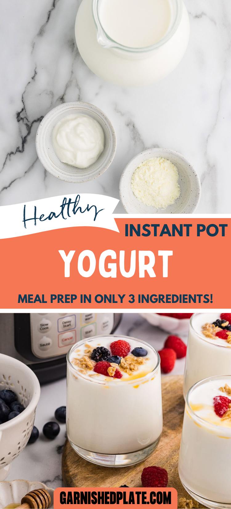 Instant Pot Yogurt - Garnished Plate