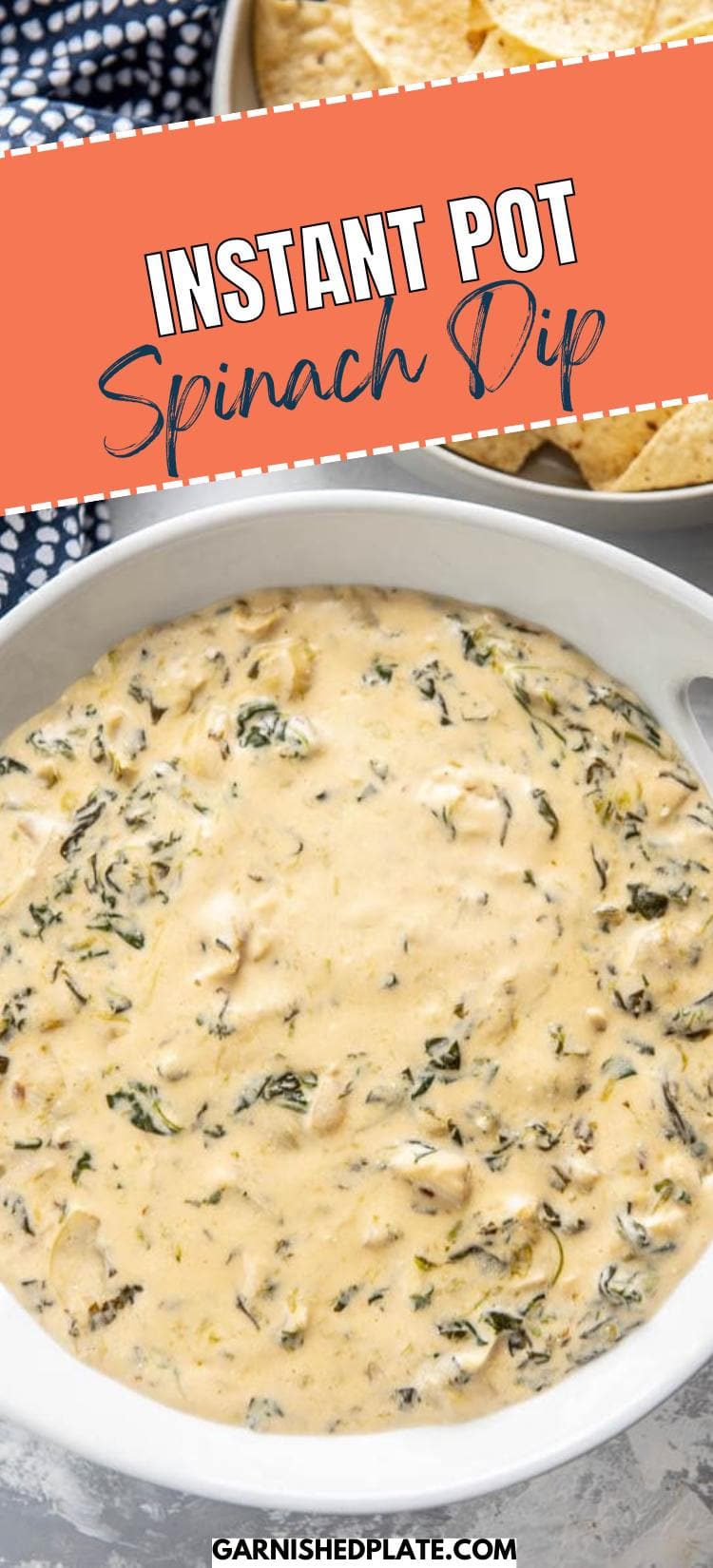 Instant Pot Spinach Dip - Garnished Plate