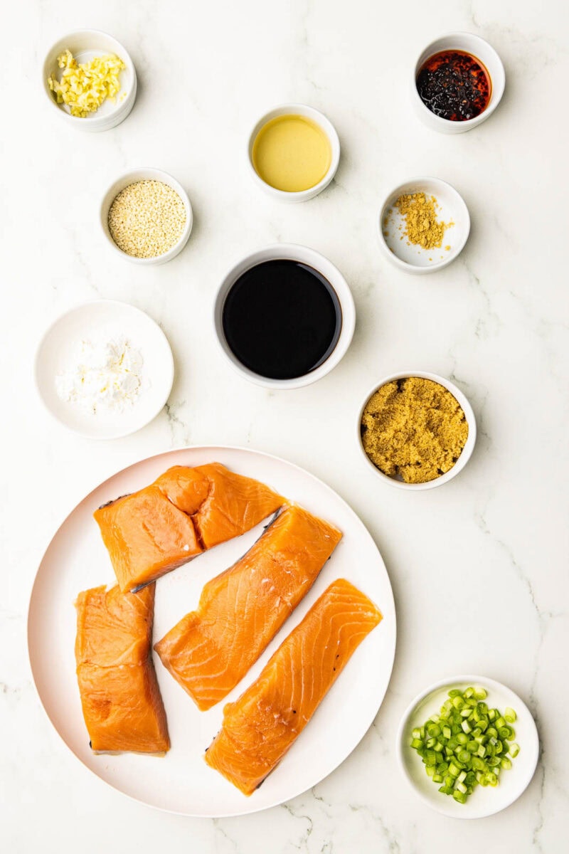 Glazed Teriyaki Salmon in the Air Fryer - Garnished Plate